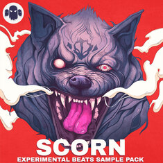 scorn examples