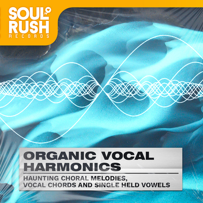 Sample Packs & Music Loops on Subscription | Loopcloud