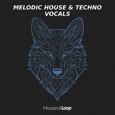 Sample Packs & Music Loops on Subscription | Loopcloud