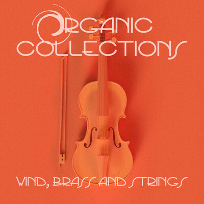 Sample Packs & Music Loops on Subscription | Loopcloud