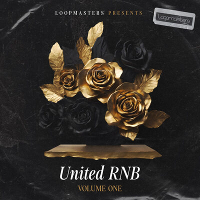 Sample Packs & Music Loops on Subscription | Loopcloud